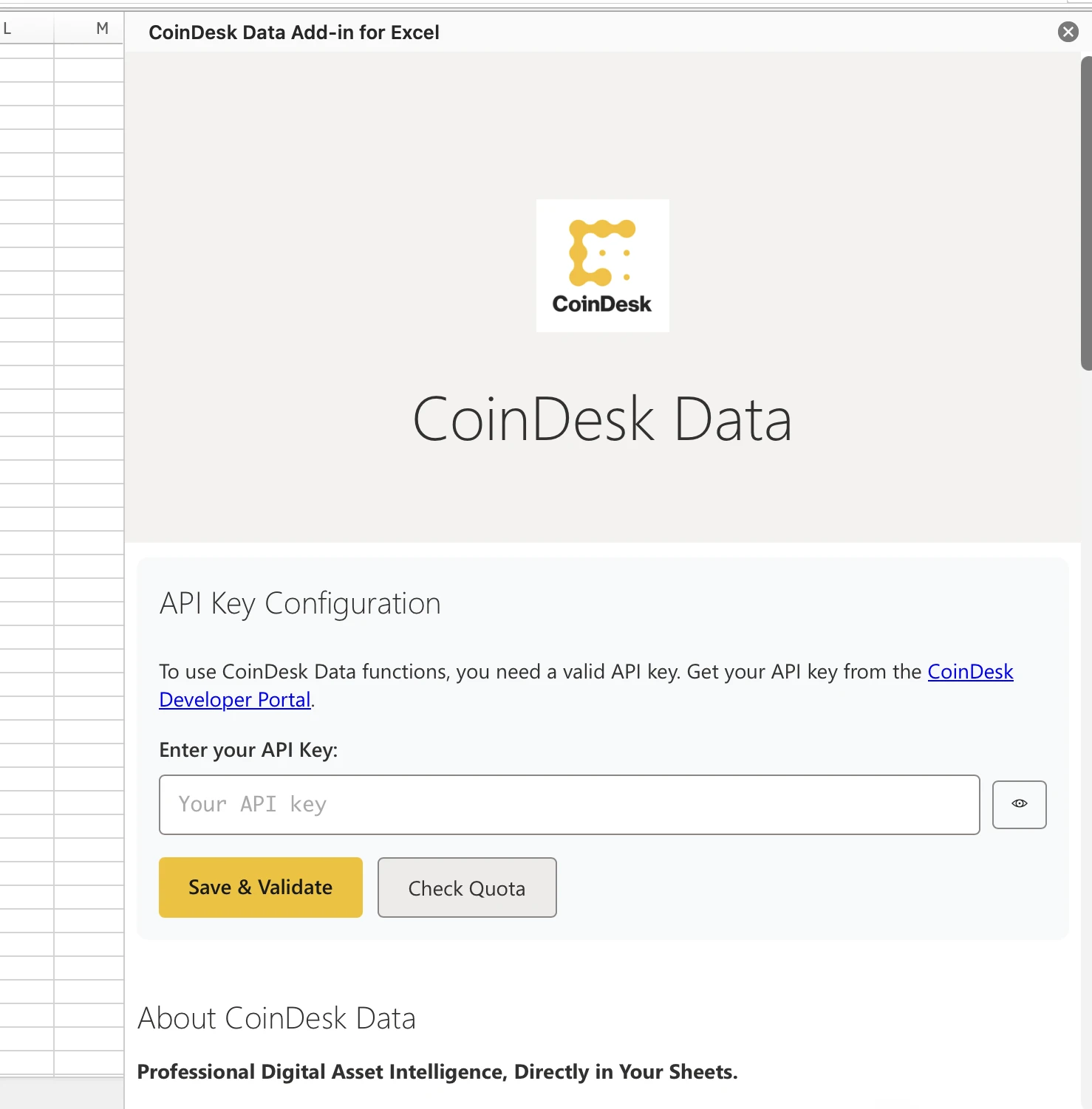 CoinDesk Data Excel Add-in API key